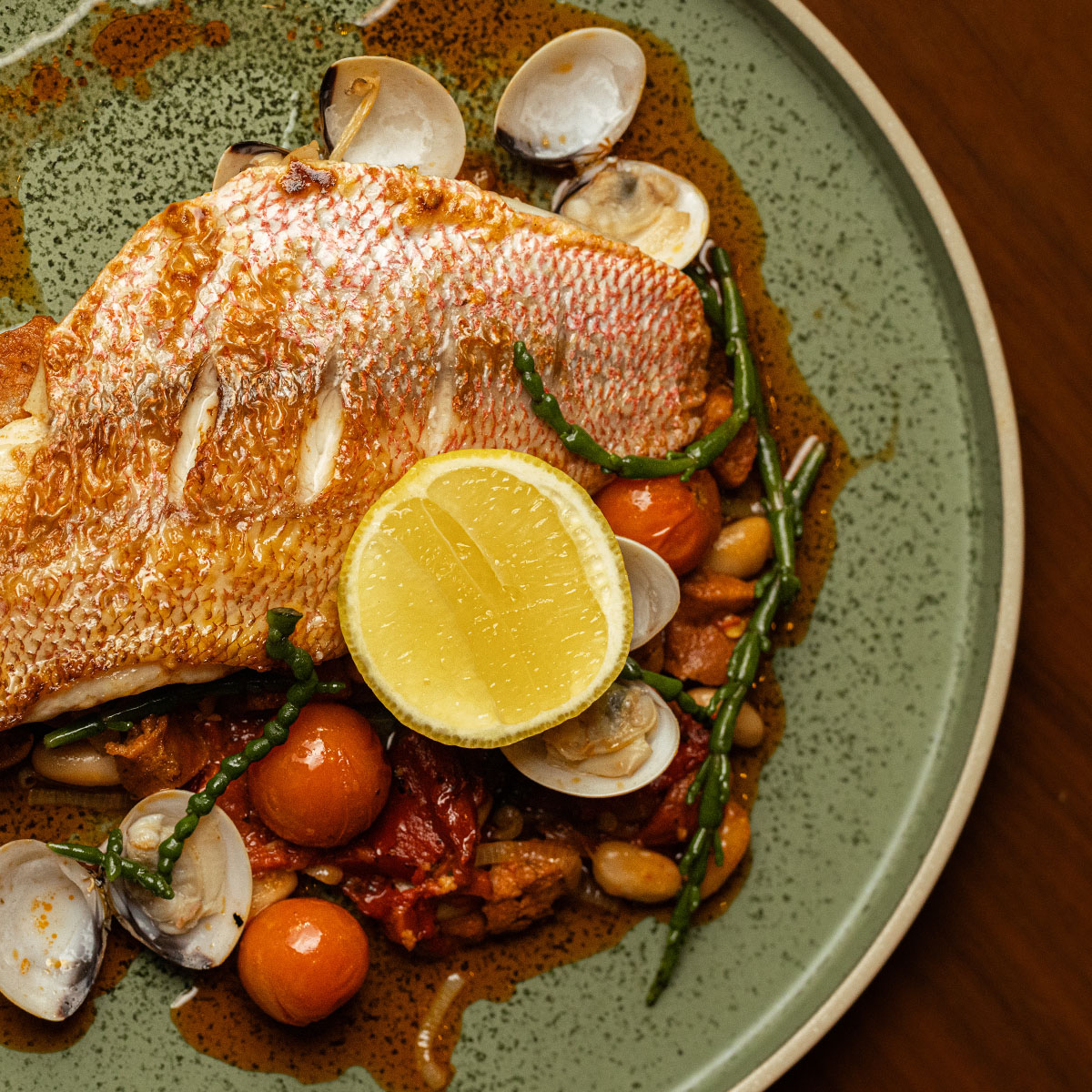 Solander Dining & Bar | Sophisticated All-Day Dining in Sydney