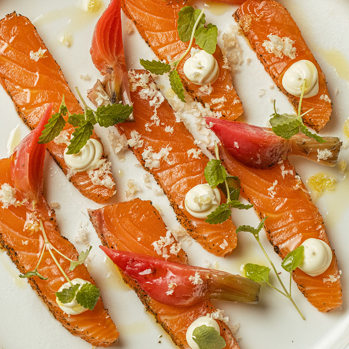 Solander Dining & Bar | Sophisticated All-Day Dining in Sydney